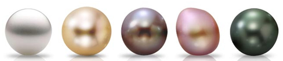 Know About Pearls | Jagdamba Pearls